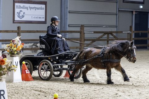 Showprogramma - Paard & Erfgoed 2025